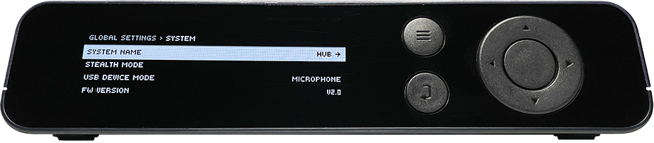 What can I do on the Hub DSP Receiver screen?